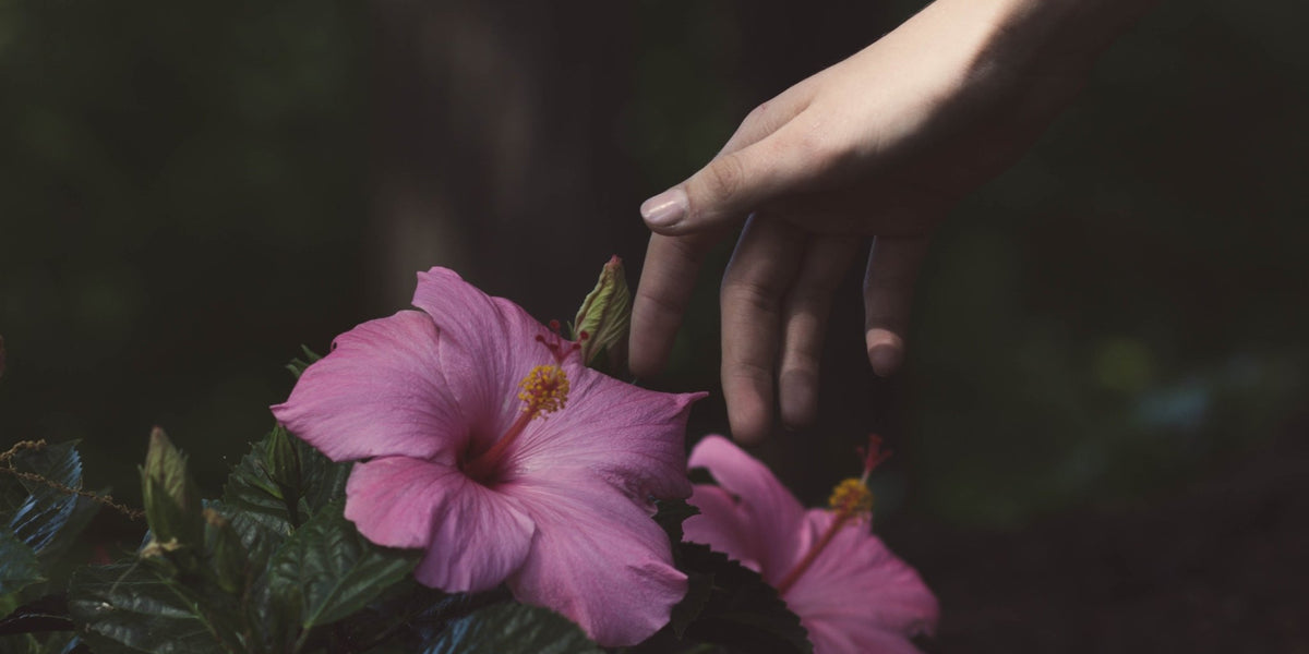 Sensory Touch And How It Can Help Anxiety: The Science Behind Fidgetin